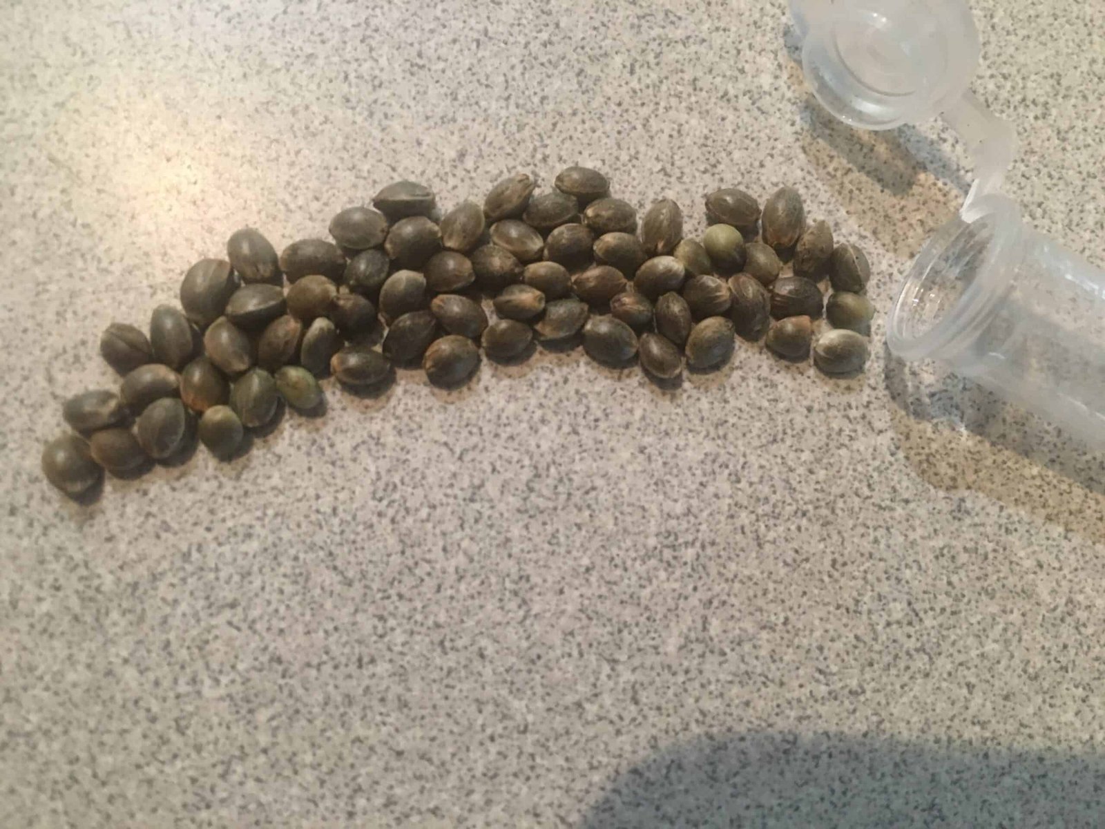 Frequently Asked Questions - Just Cannabis Seeds